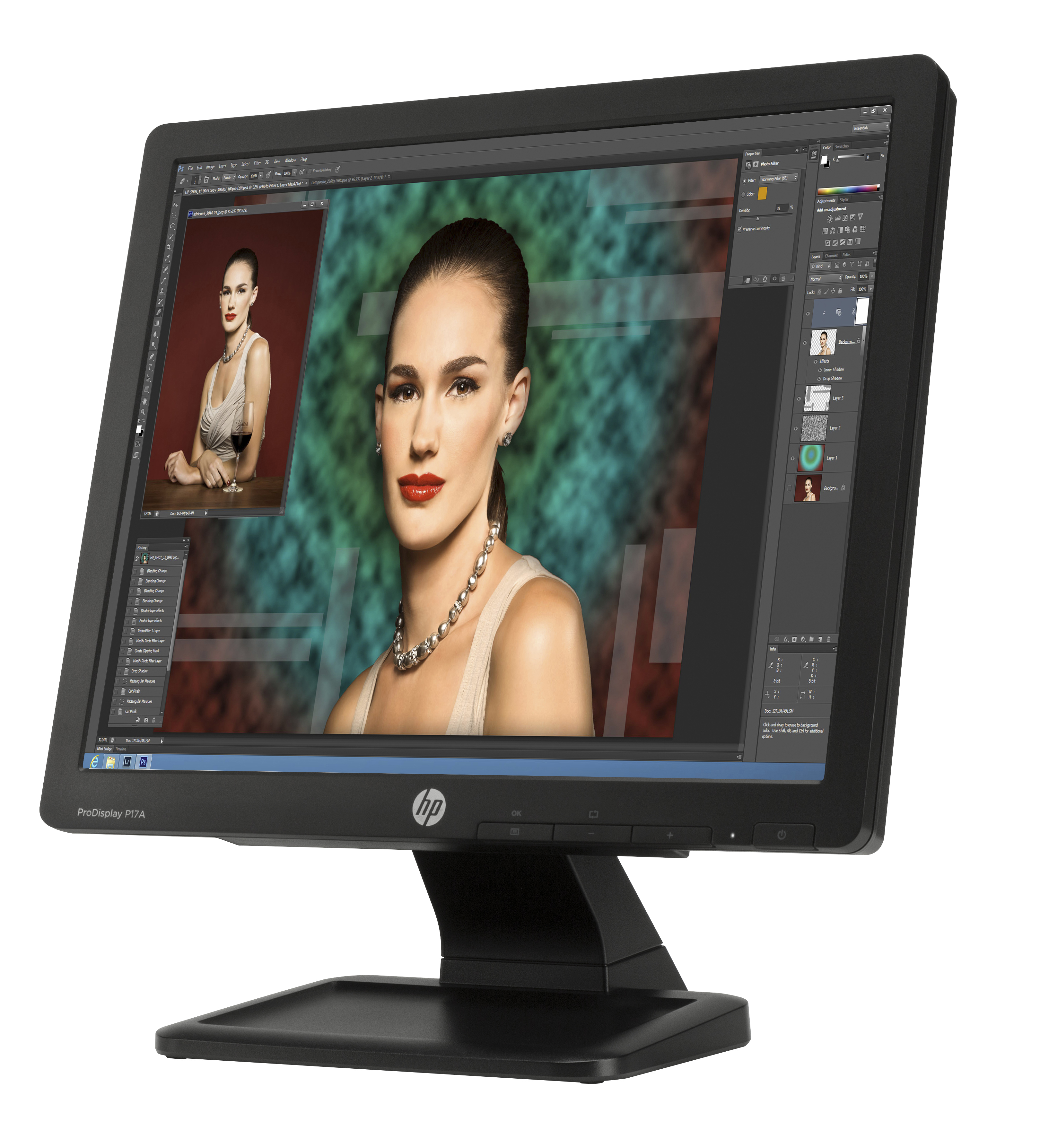 HP ProDisplay P17A 43.2 cm (17") 1280 x 1024 pixels LED Black